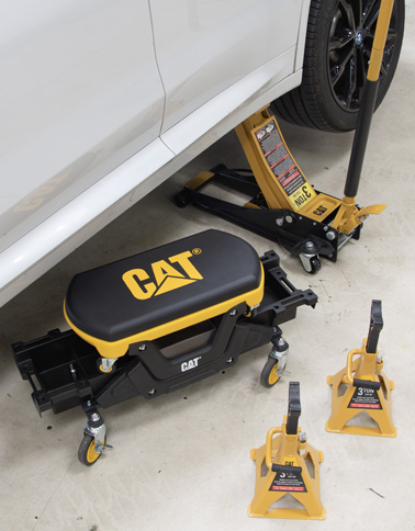 Cat Product Launch